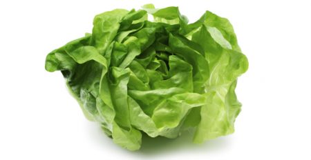 Lechuga - 5 al día