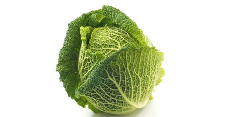 Repollo - 5 al día